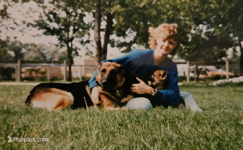 Heffel Farm | Puppies.com